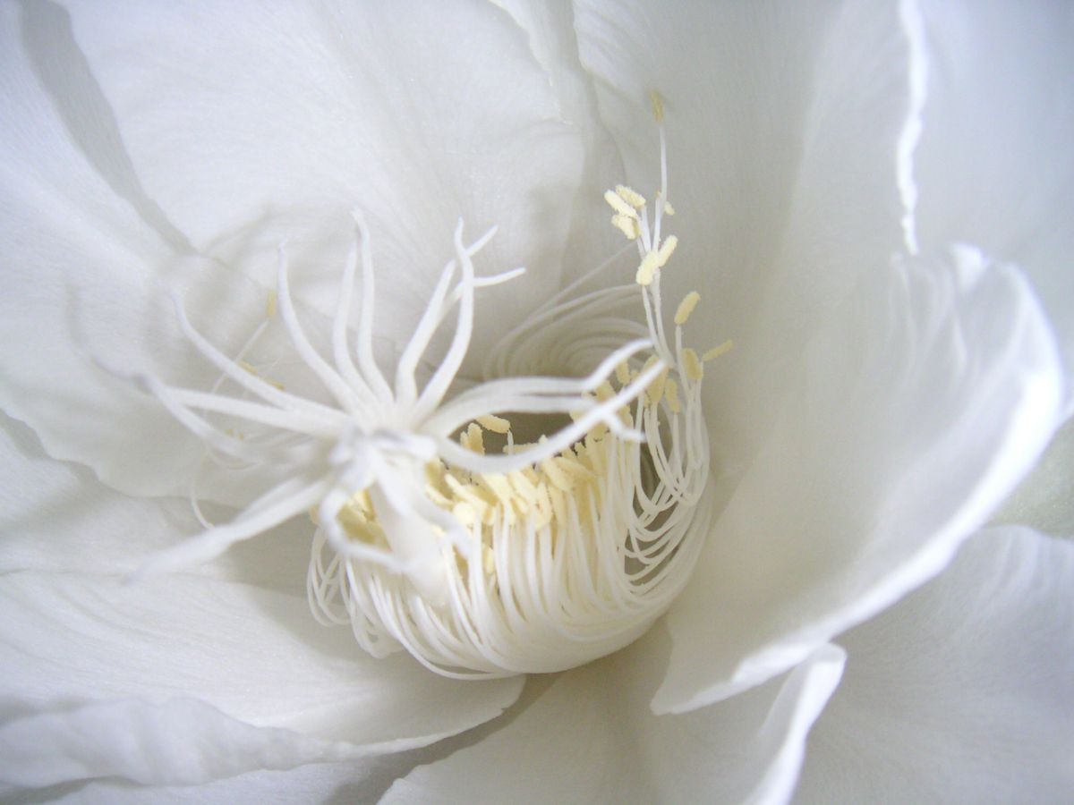 画像 013 (6).jpg | GANREF