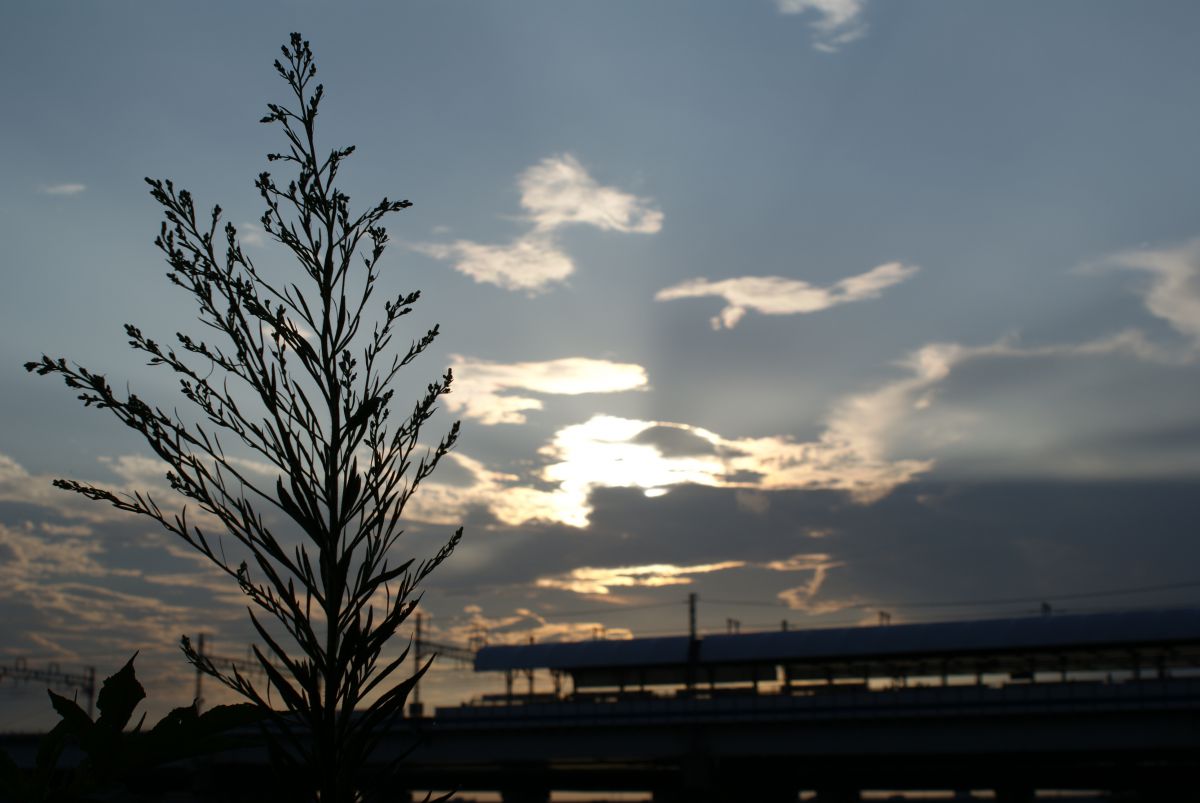 DSC00369.JPG | GANREF