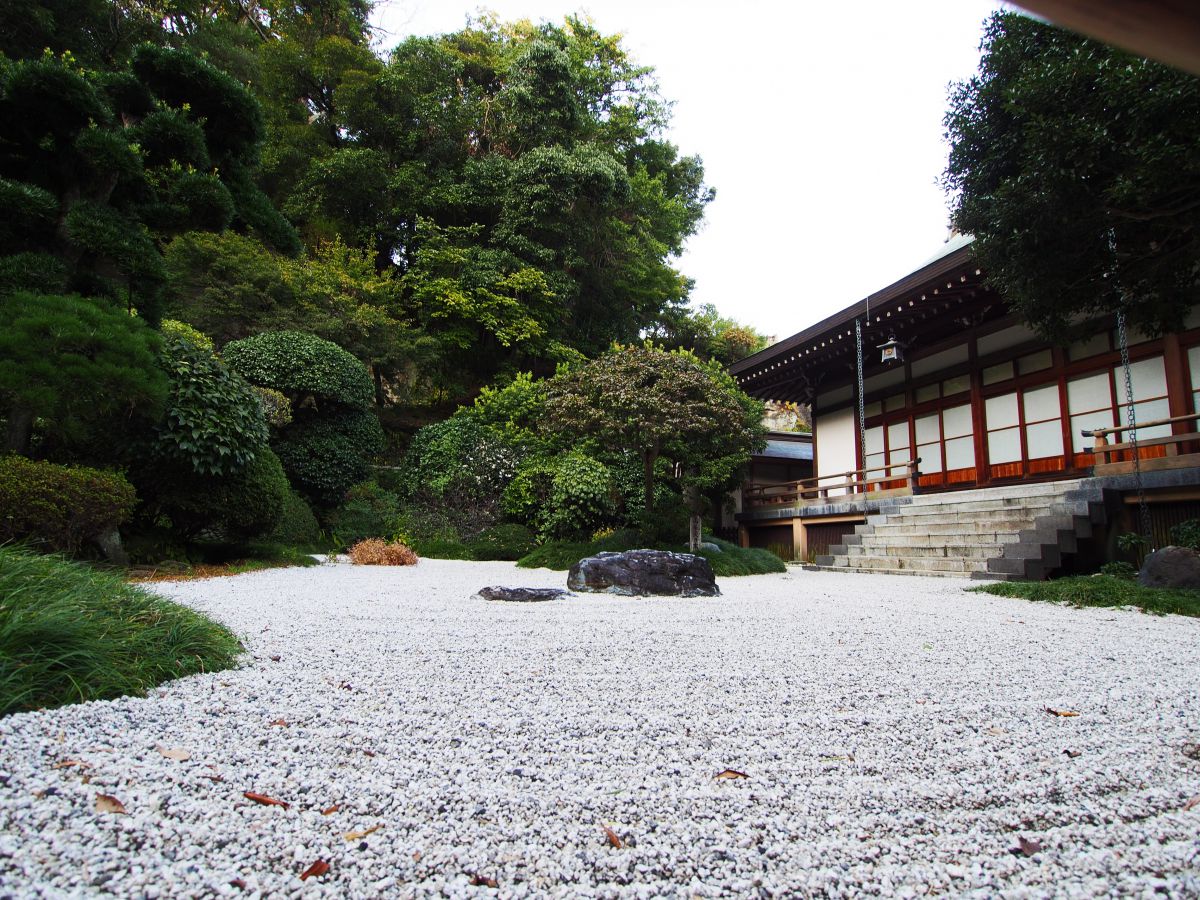 Garden super‐wide‐angle | GANREF