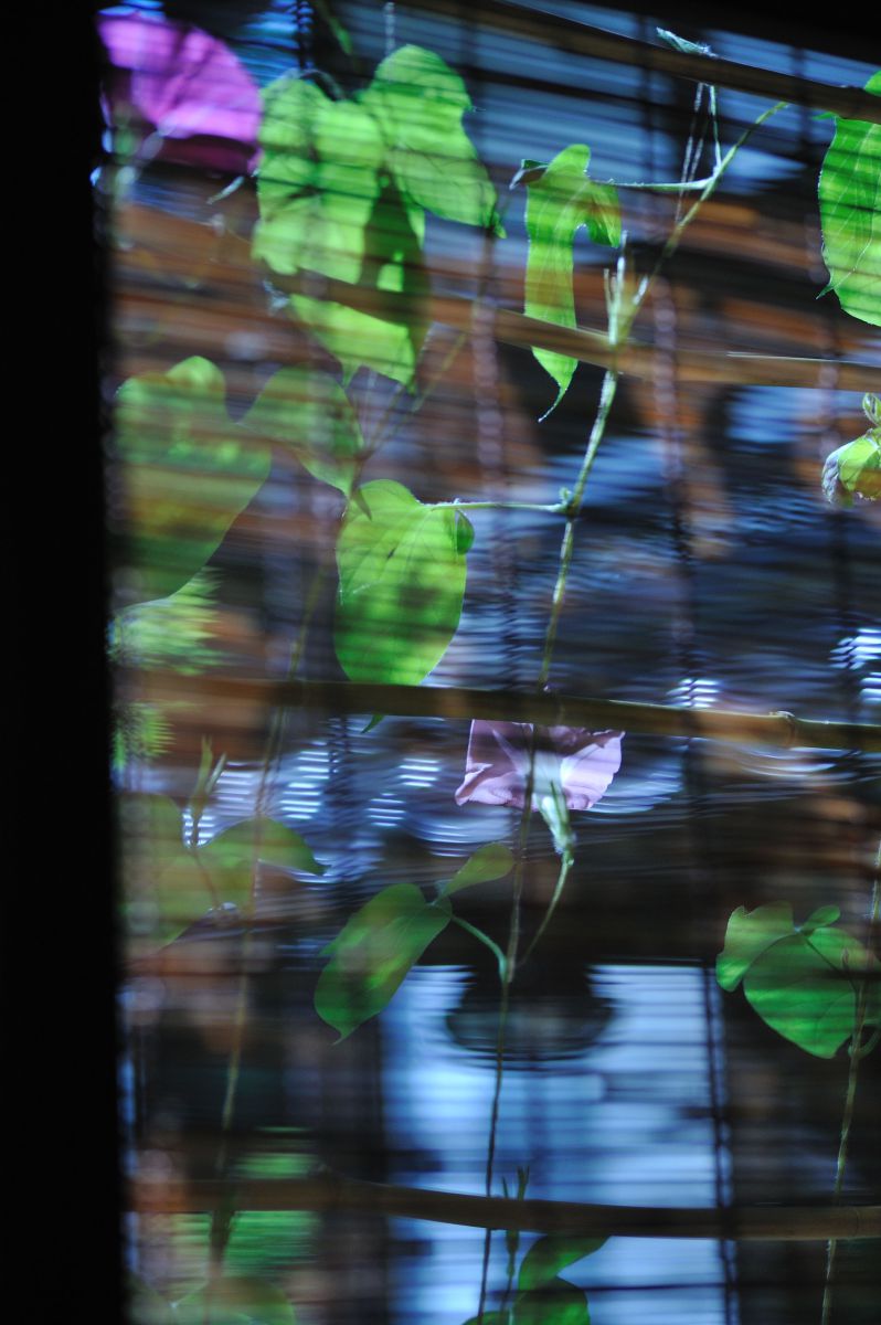 残暑厳しい | GANREF