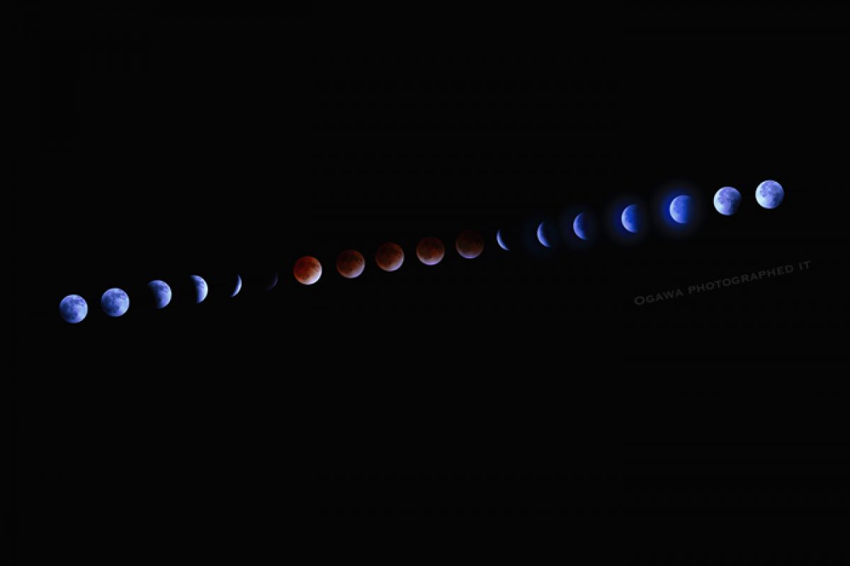 Total Eclipse | GANREF