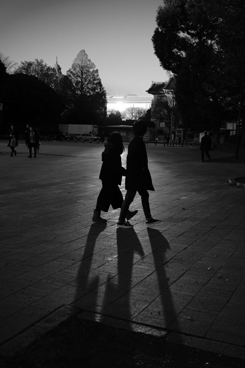 reflected light | GANREF