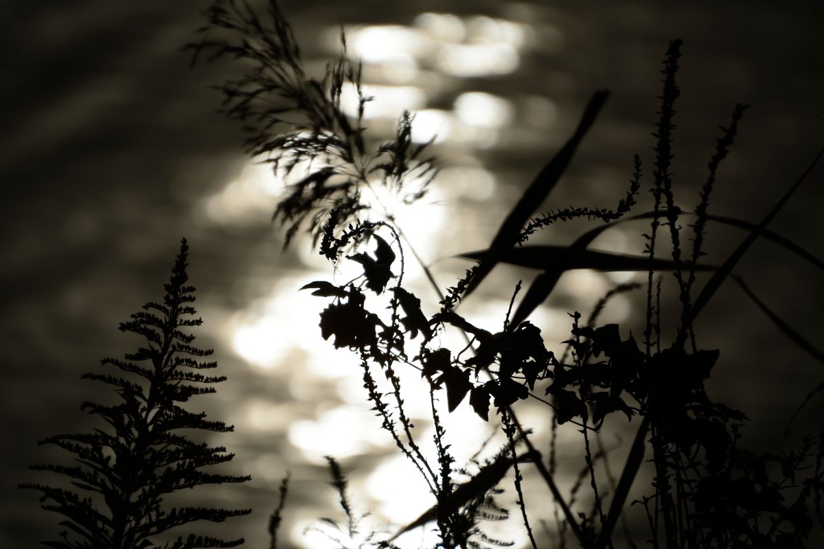 The creation of light and shadow Part 3 | GANREF