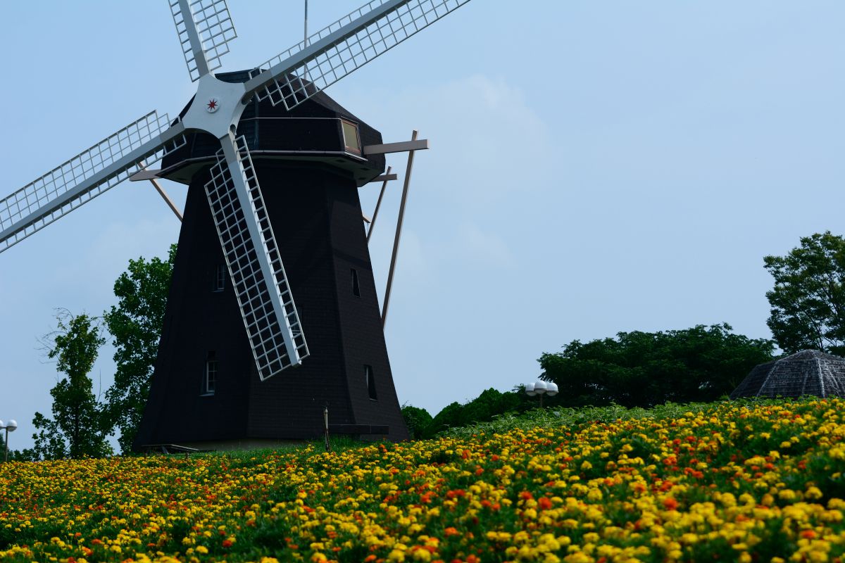 Windmill jealous | GANREF