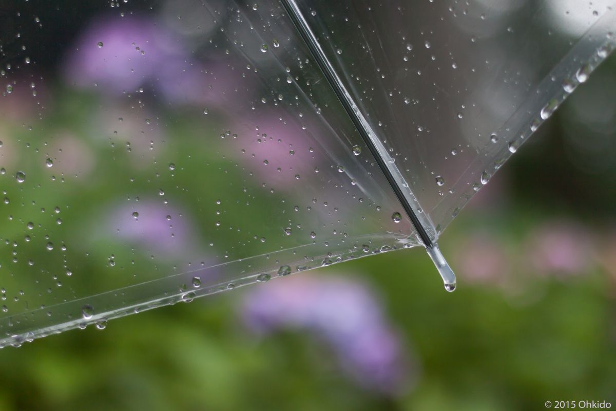 rainy season | GANREF