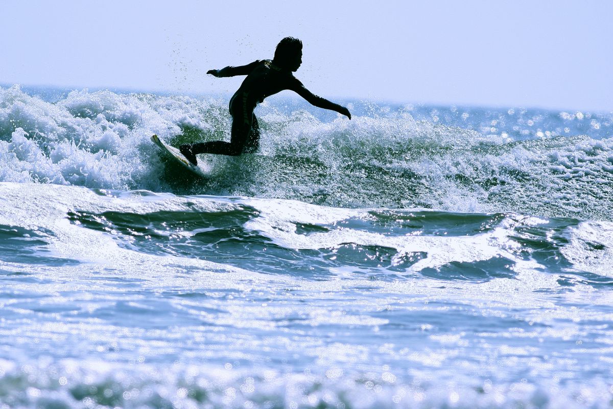 DANCES WITH WAVE | GANREF