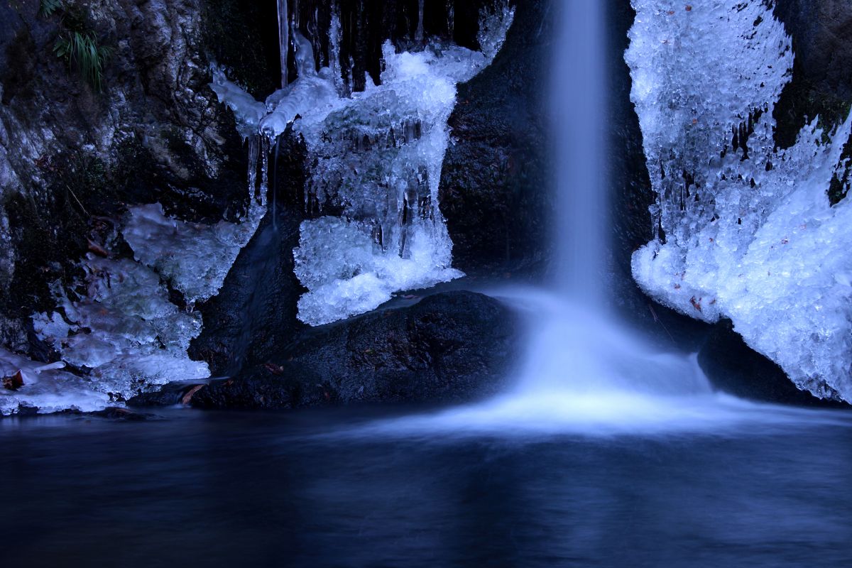 winter fall | GANREF