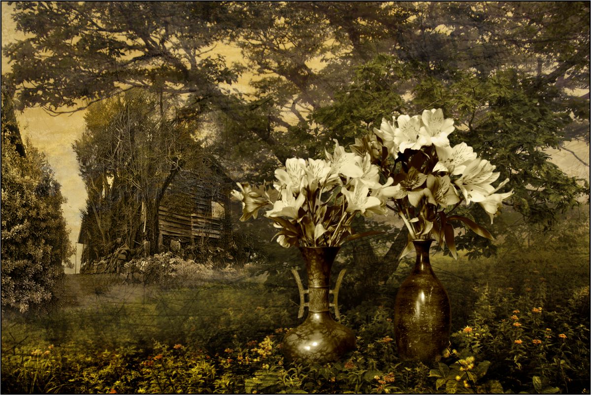 Retro look_I | GANREF