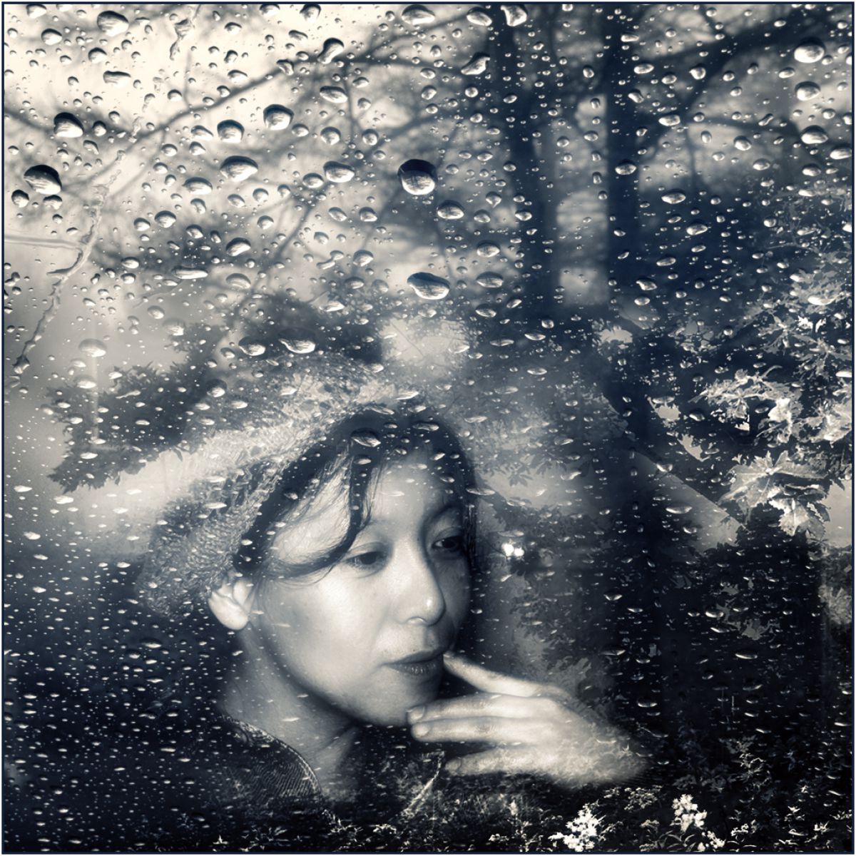 夢見る人(Beautiful Dreamer) | GANREF