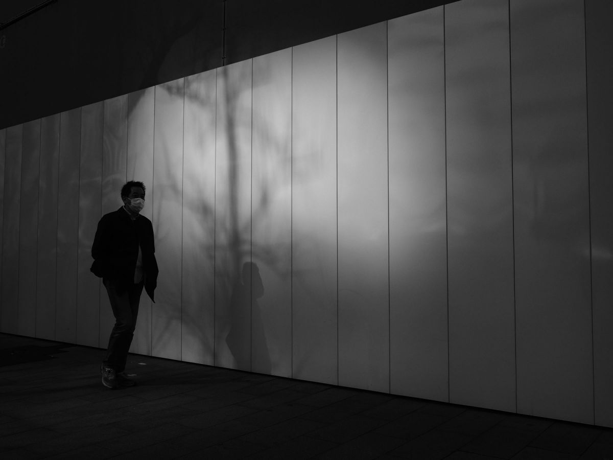 Light & Shadow!Ⅴ | GANREF