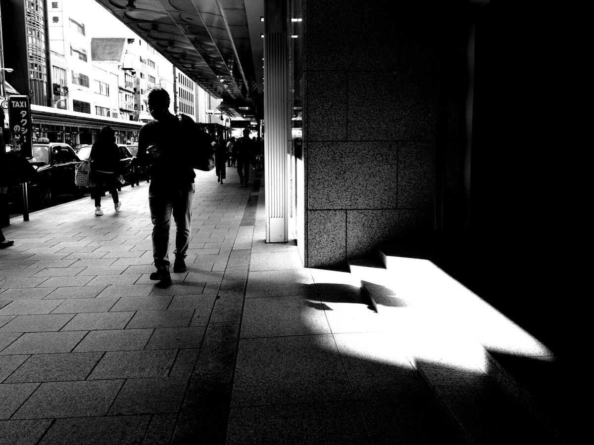 Light & Shadow!Ⅱ | GANREF