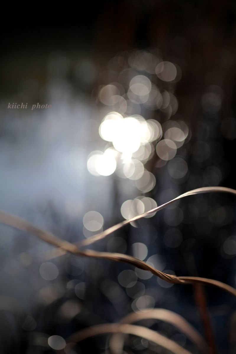 waterside.JPG | GANREF