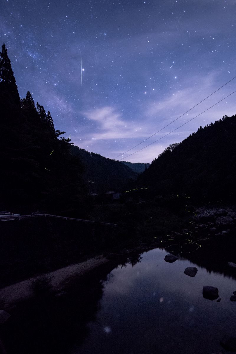 宙と地上の天の川を舞う | GANREF