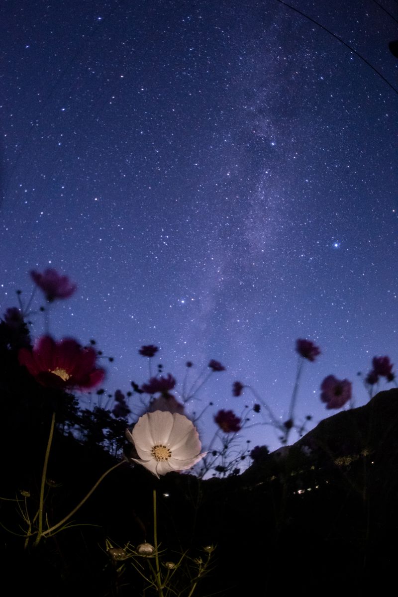 秋の訪れ | GANREF