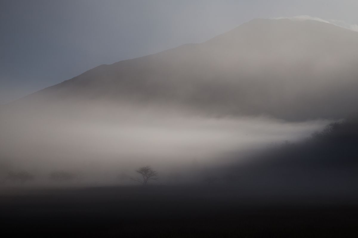 プシュ～～～～～～～～～～～～ | GANREF