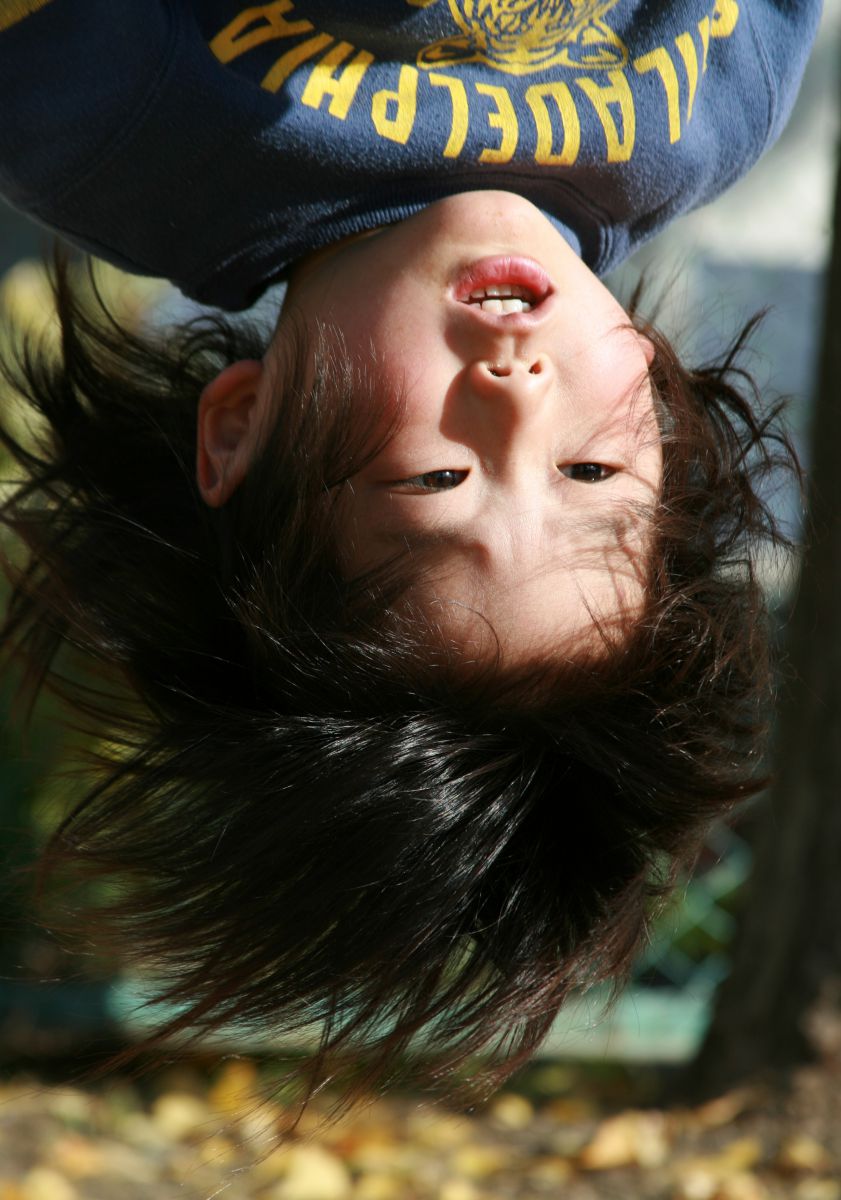 ライオン丸 | GANREF