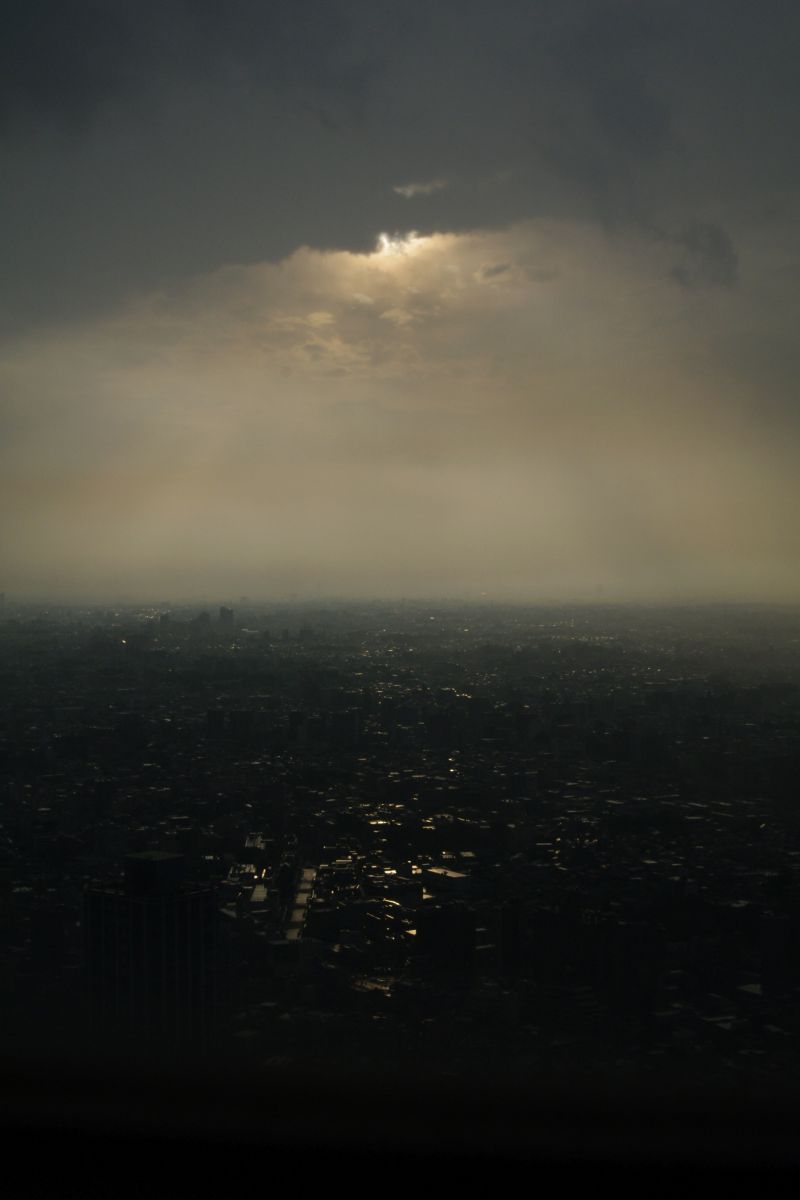 Twilight in the Rain | GANREF