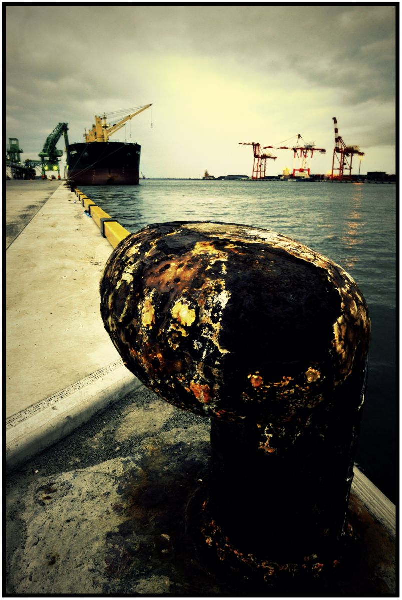 Grays harbor | GANREF