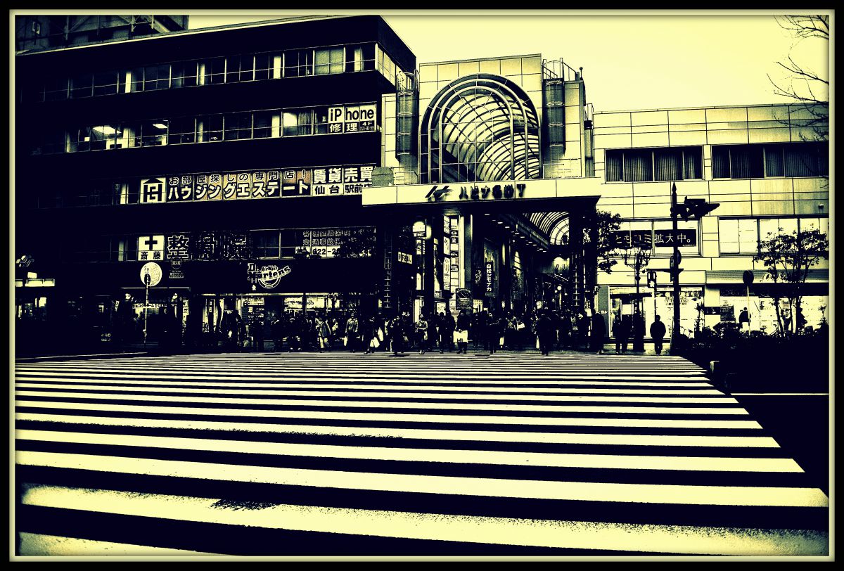 ZEBRAな休日 | GANREF