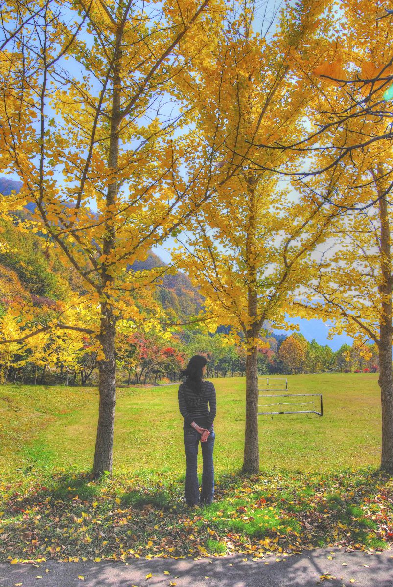 秋にかこまれて | GANREF