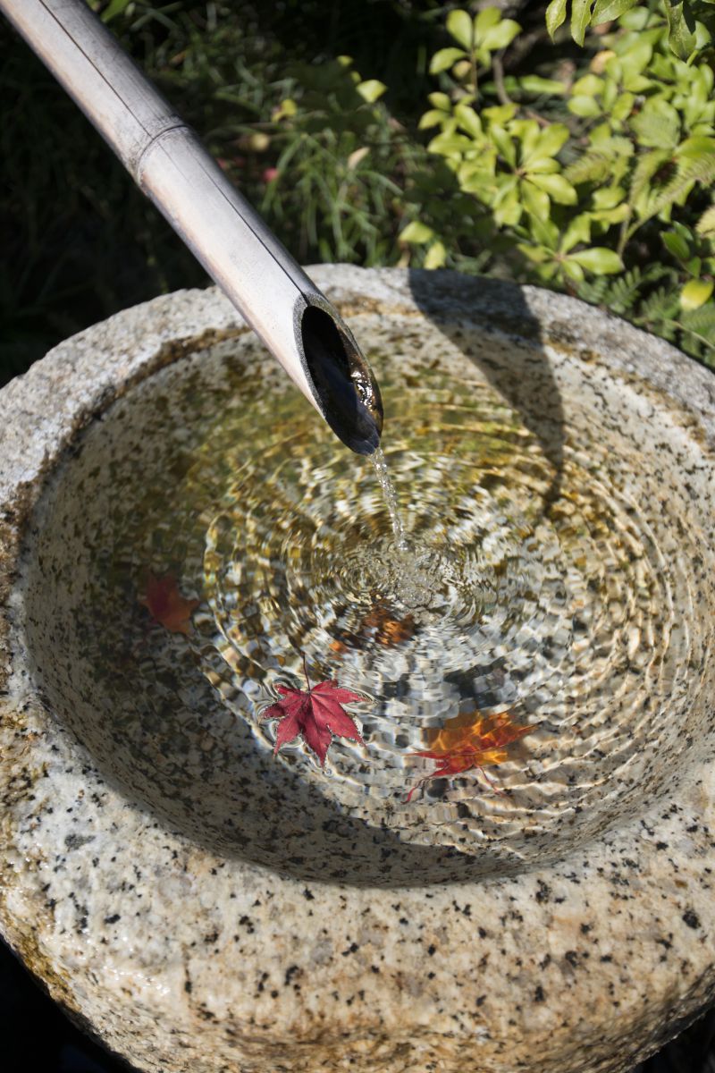 小さい秋 | GANREF