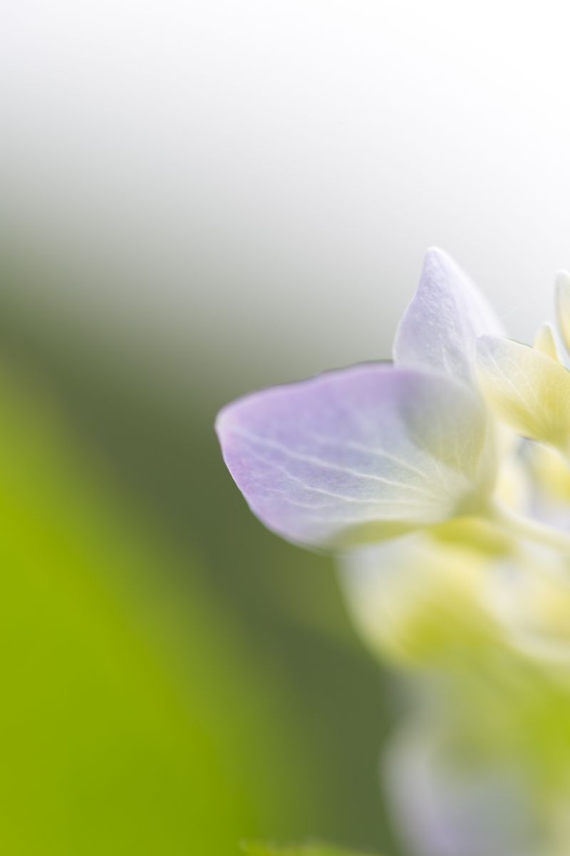 儚し青-3 | GANREF