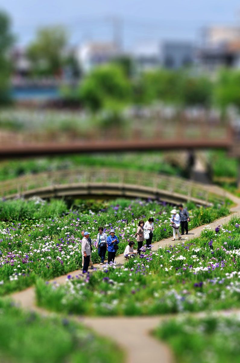 ジオラマ | GANREF