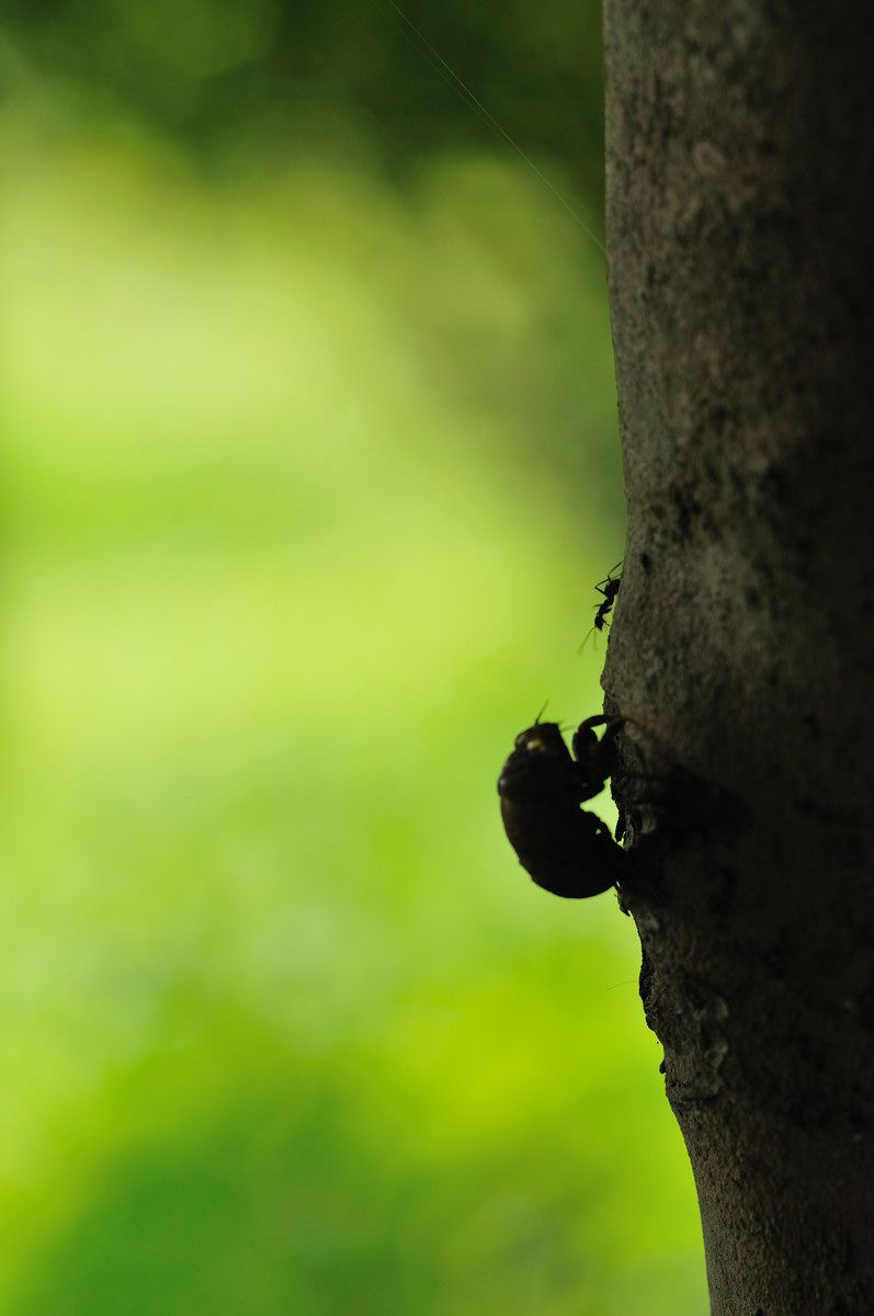 はじめまして | GANREF