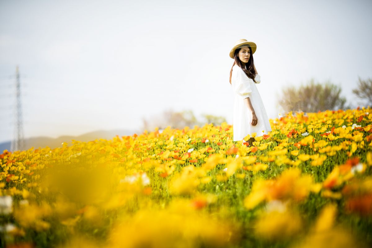 「Flow of life」 | GANREF