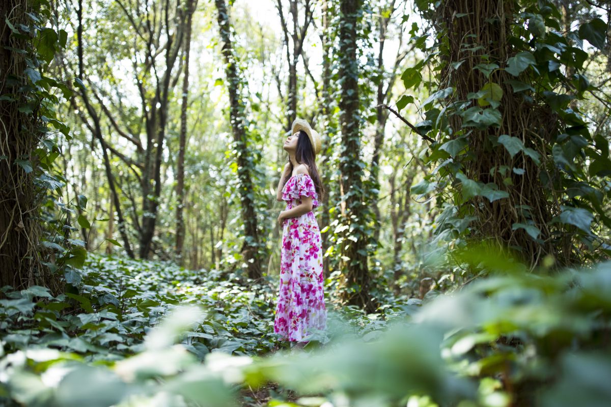 「green relaxation」 | GANREF