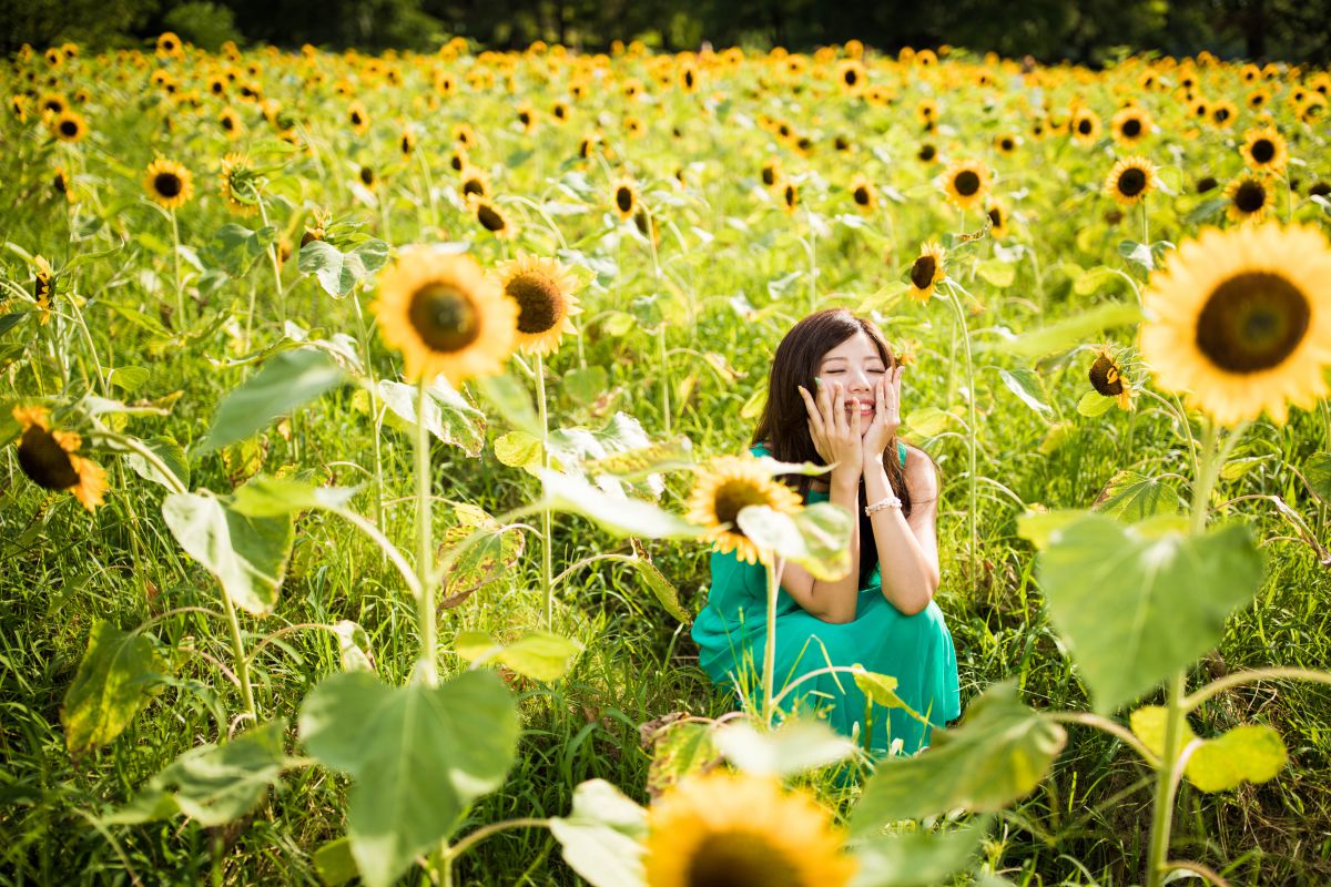 「I am sunflower 」 | GANREF