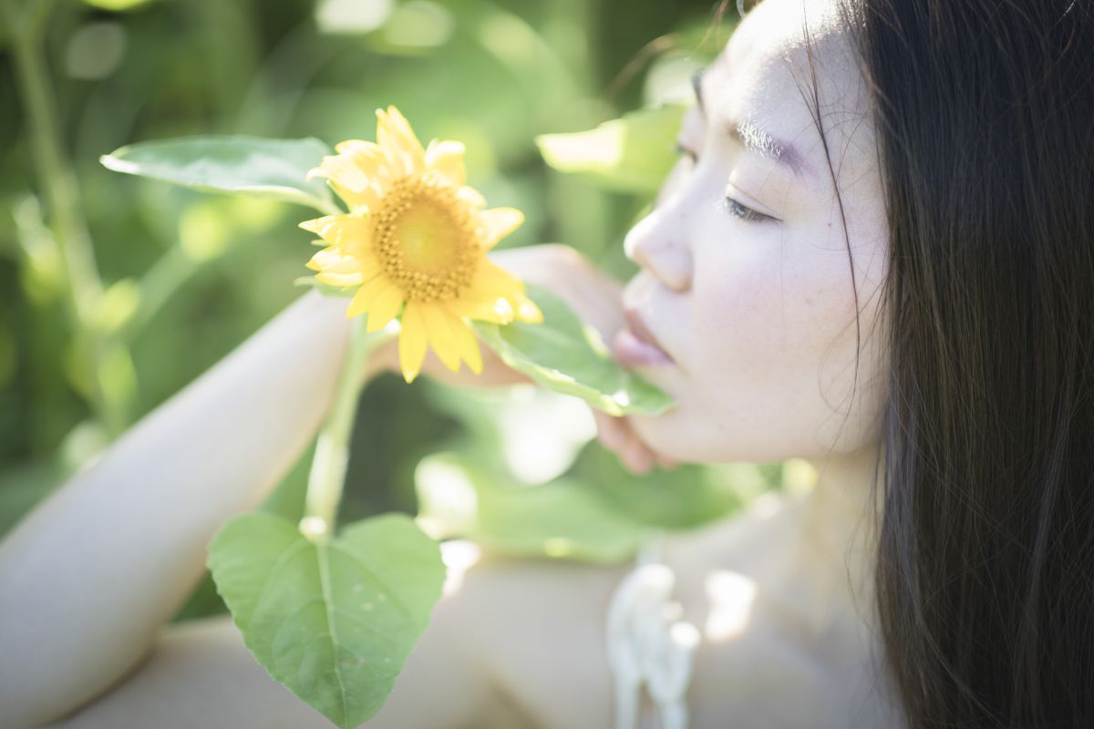 「sunflower」4 | GANREF