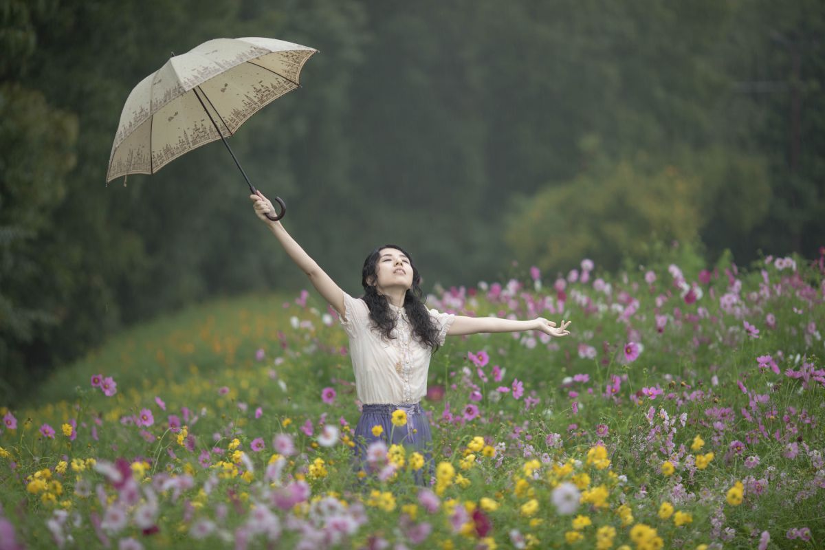 「雨と風と秋桜」 | GANREF