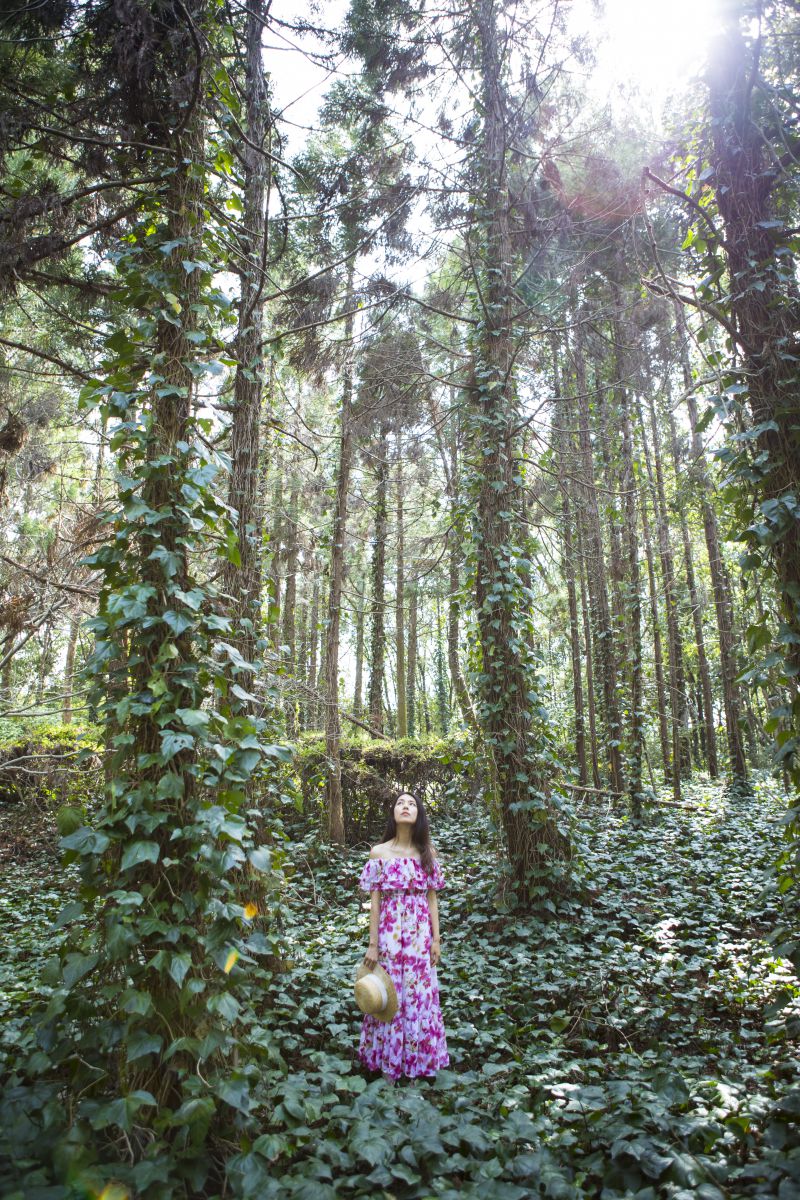 「green relaxation」2 | GANREF