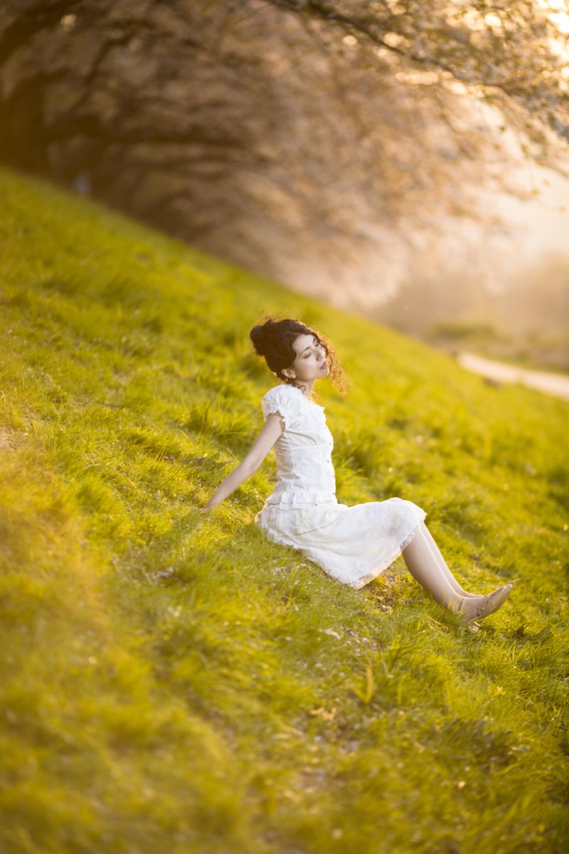 「Setting sun flowers」 | GANREF