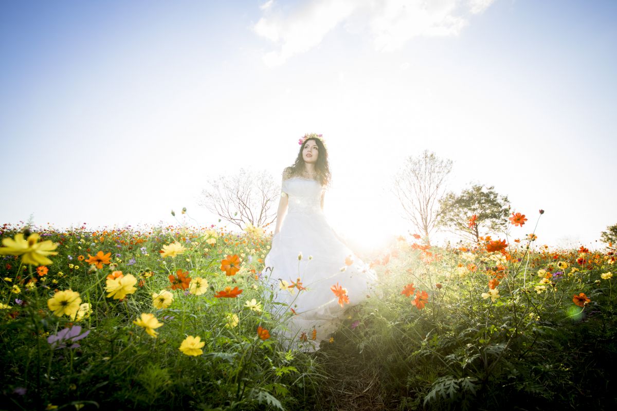 「Wedding cosmos」4 | GANREF