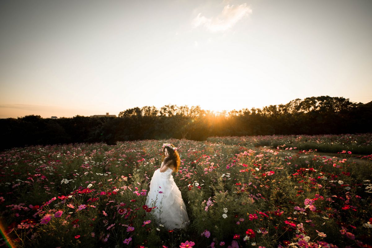 「Wedding feeling」 | GANREF