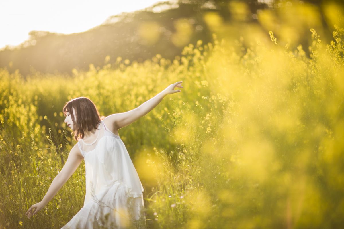 「菜の花を舞う」1（ver.ストロボ） | GANREF