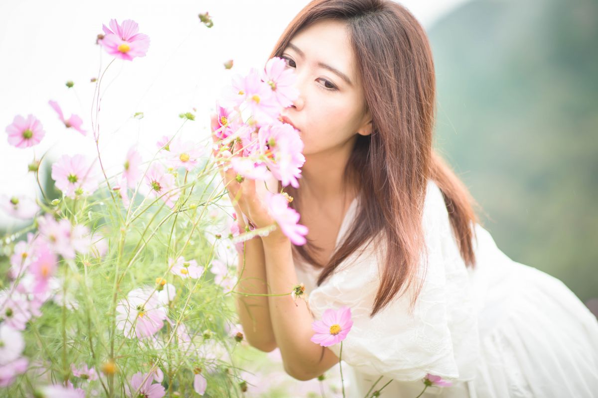 「Sweet Cosmos」 | GANREF