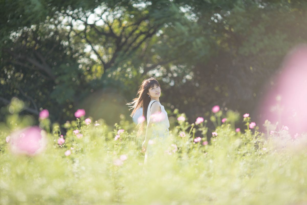 「few cosmos」 | GANREF