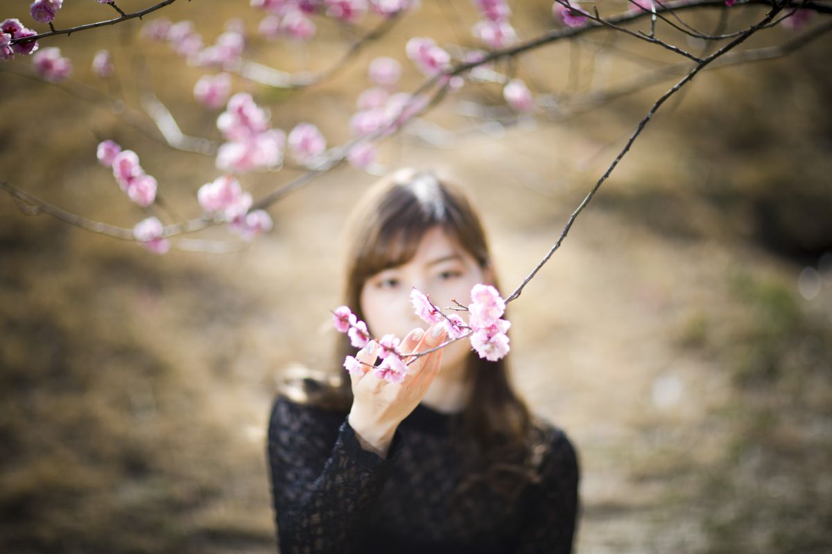 「pink plum」 | GANREF