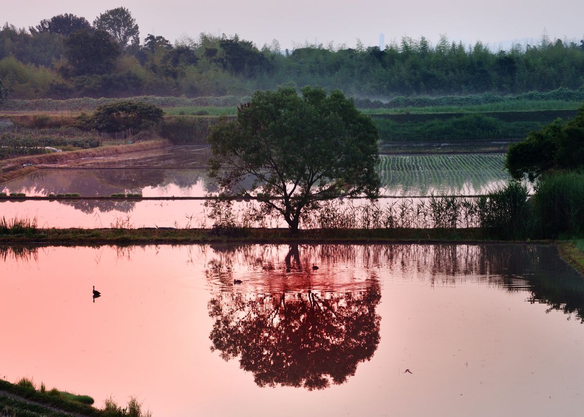 pastoral landscape | GANREF