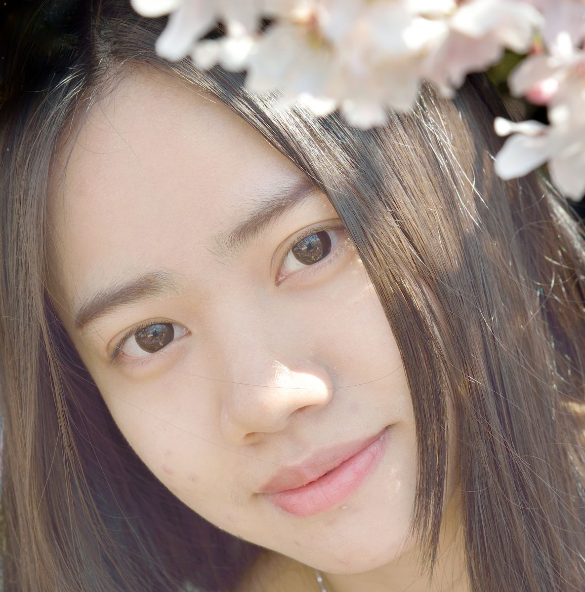 non Japanese | GANREF