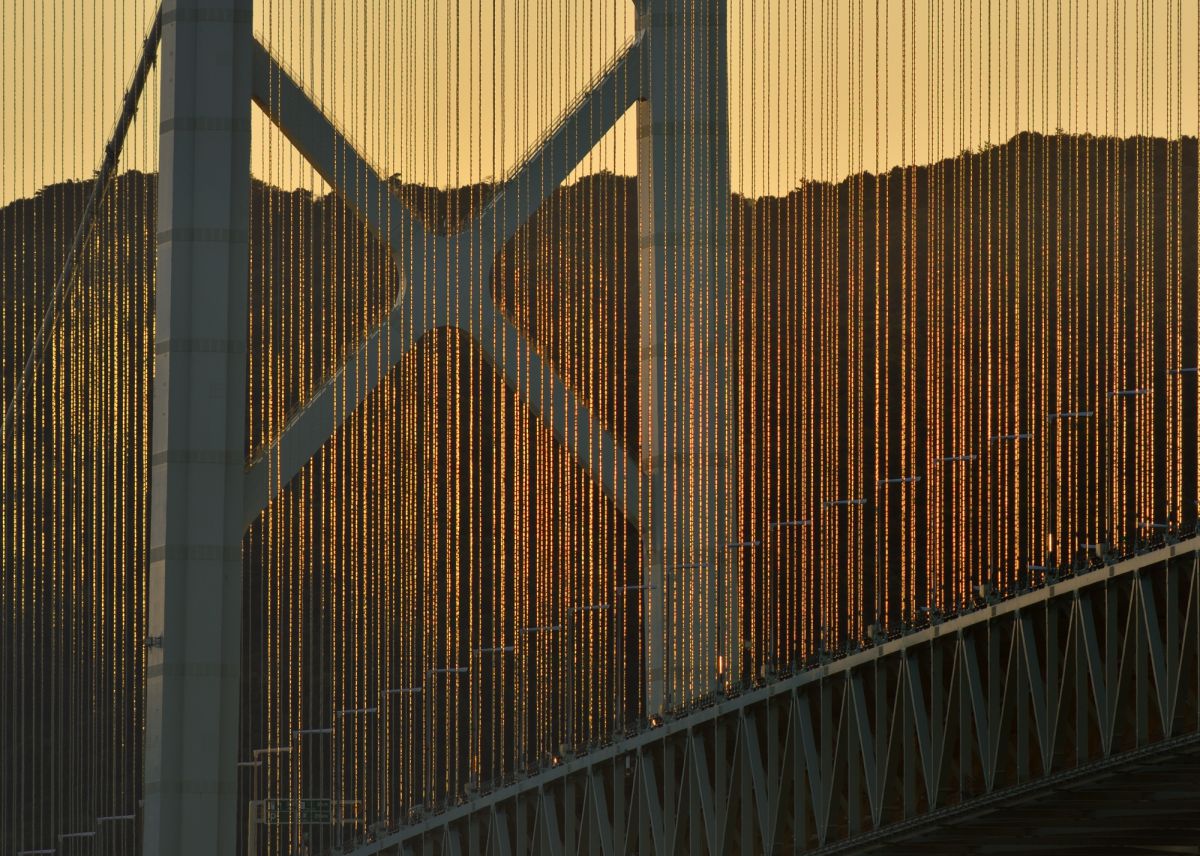 Golden cable | GANREF