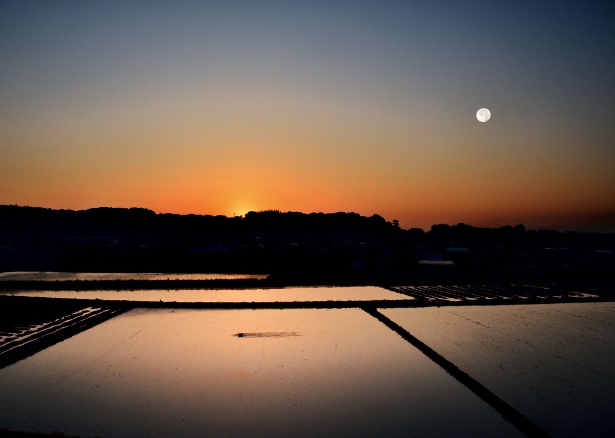 the gradastion sky at dawn | GANREF