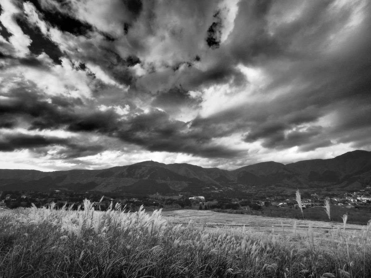 ドラマチックトーン仙石原 | GANREF