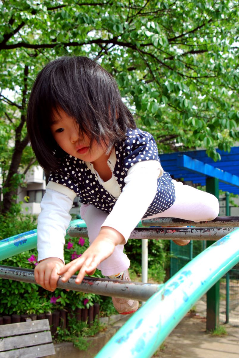 太鼓梯子 | GANREF