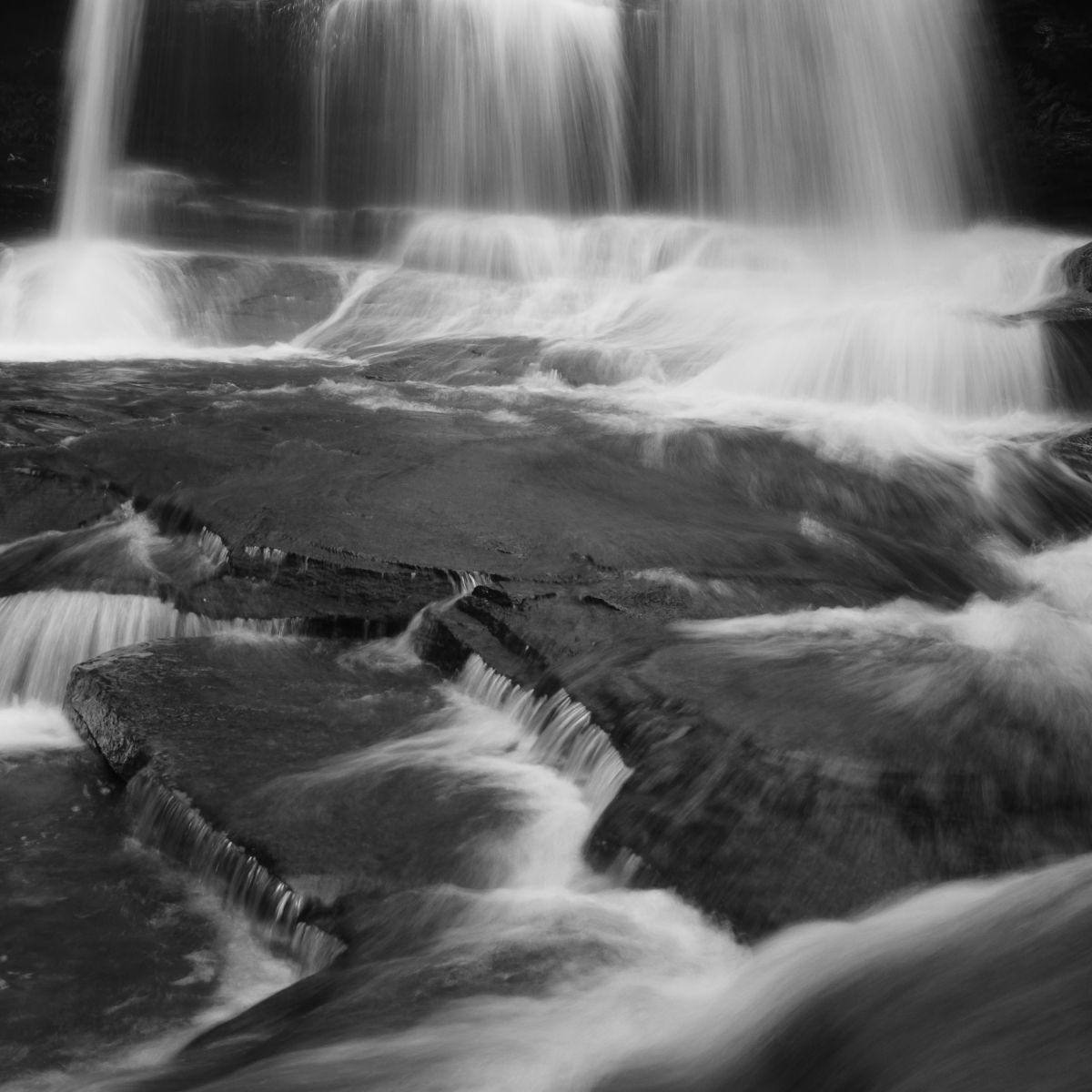 Silky Cascade Ⅱ | GANREF