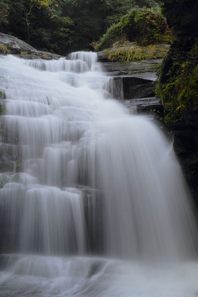 Silky Cascade Ⅰ | GANREF