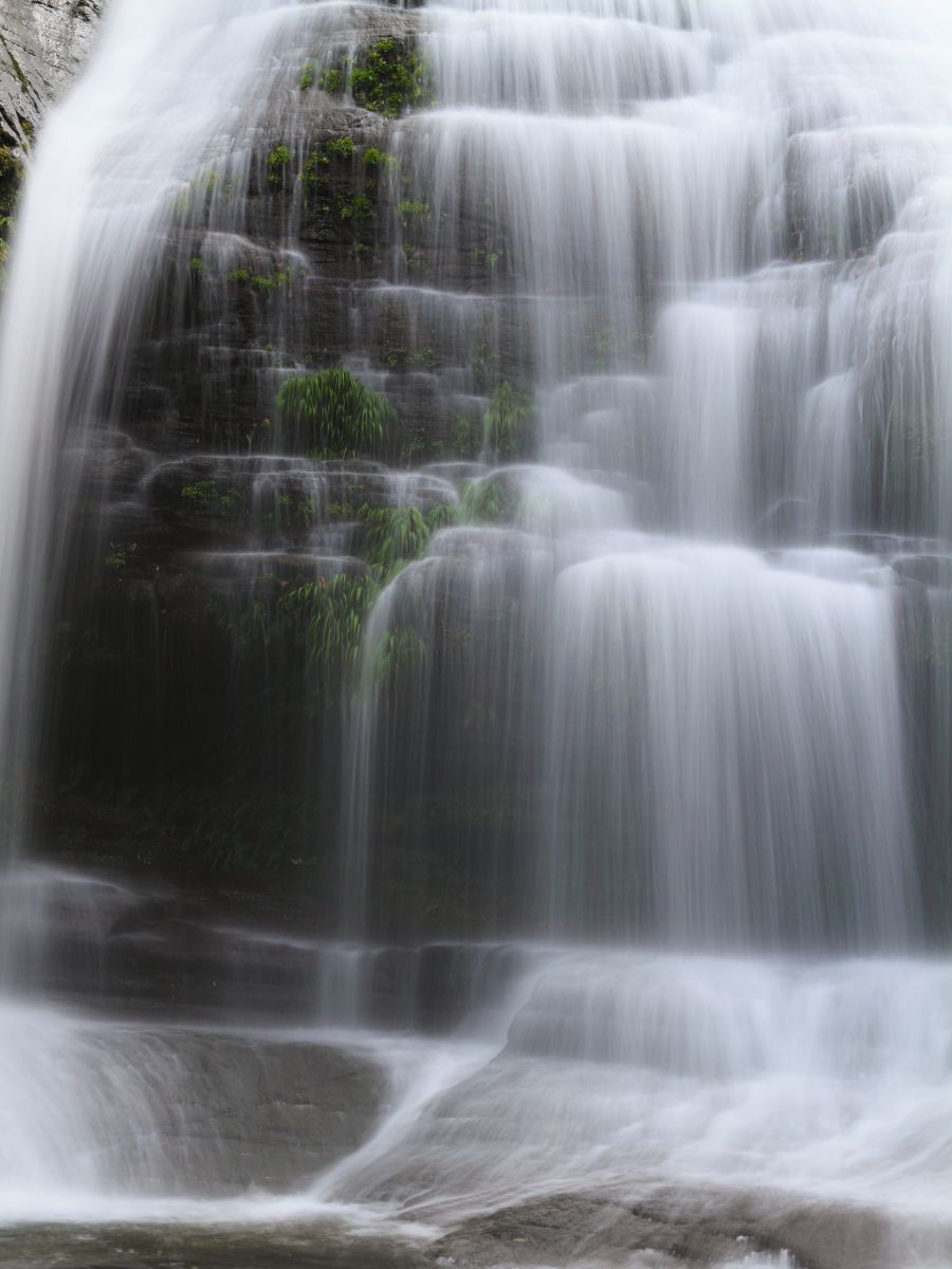 Silky Cascade Ⅲ | GANREF